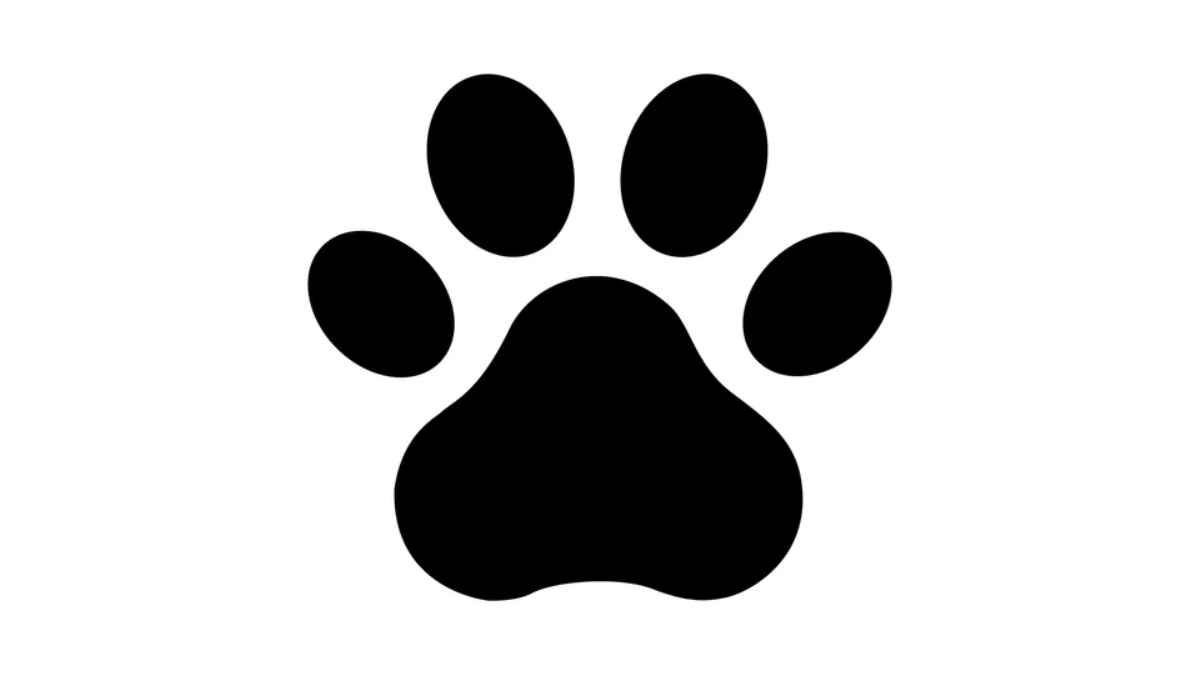 What does the Paw tattoo mean? - The furry love Connection ...